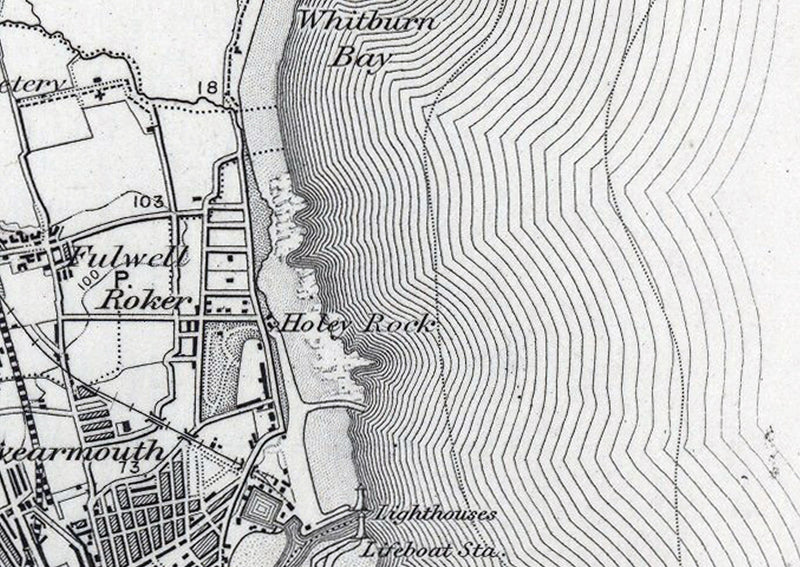 Sunderland and Environs - Ordnance Survey of England and Wales 1870 Se ...