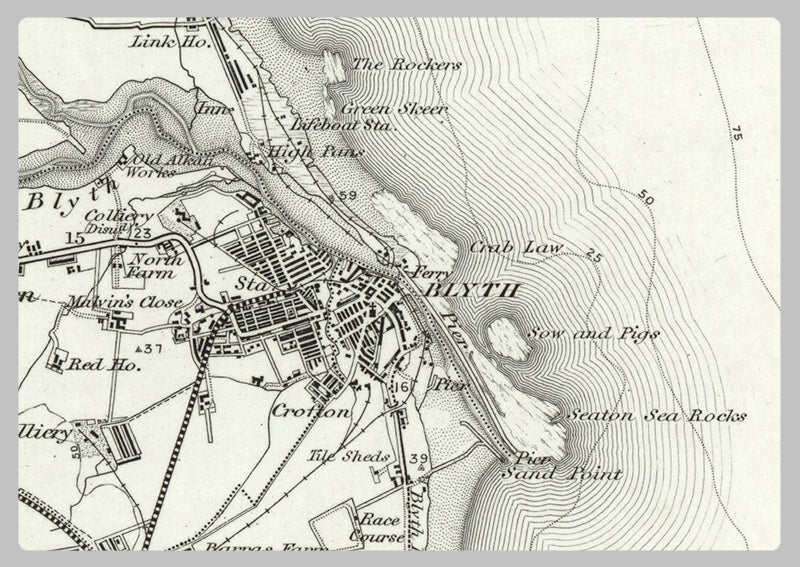 1890 Collection - Tynemouth Ordnance Survey Map | I Love Maps