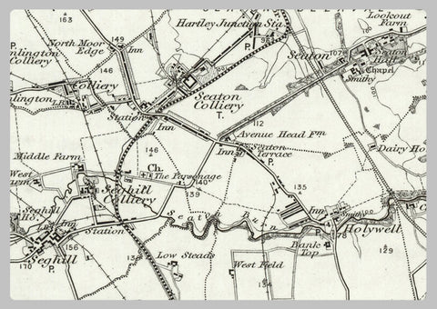 1890 Collection - Tynemouth Ordnance Survey Map | I Love Maps