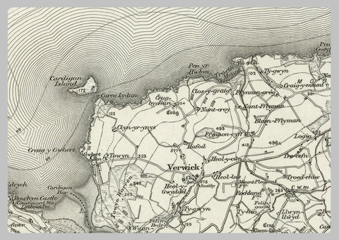 1890 Collection - Cardigan Ordnance Survey Map | I Love Maps