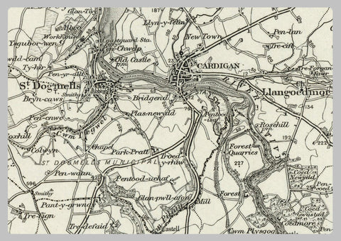 1890 Collection - Cardigan Ordnance Survey Map | I Love Maps