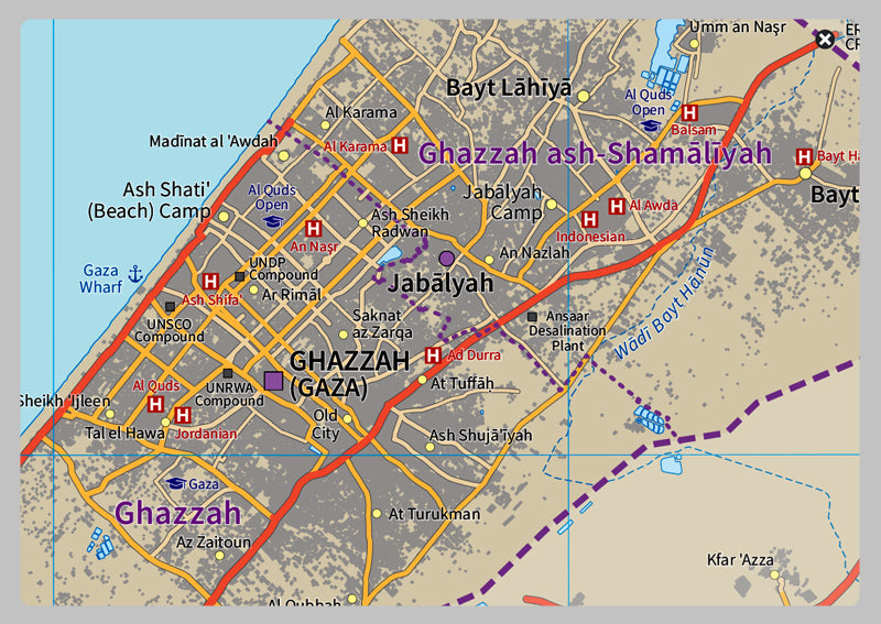 The Gaza Strip Physical Map– I Love Maps
