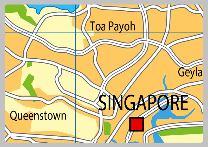Physical Map of Singapore - The Oxford Collection– I Love Maps